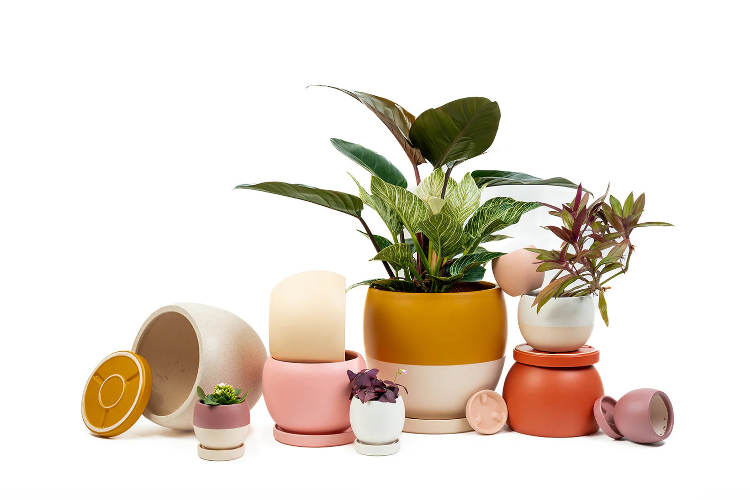 Orb Pot with Saucer – The Old Yew Plant Shop