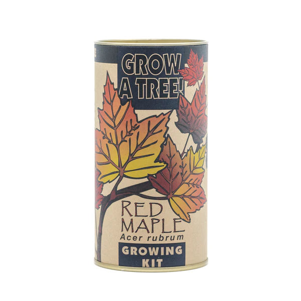 Red Maple Grow Kit – The Old Yew Plant Shop