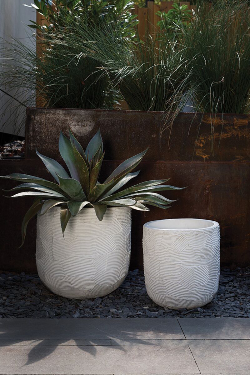 Textured White Pot – The Old Yew Plant Shop